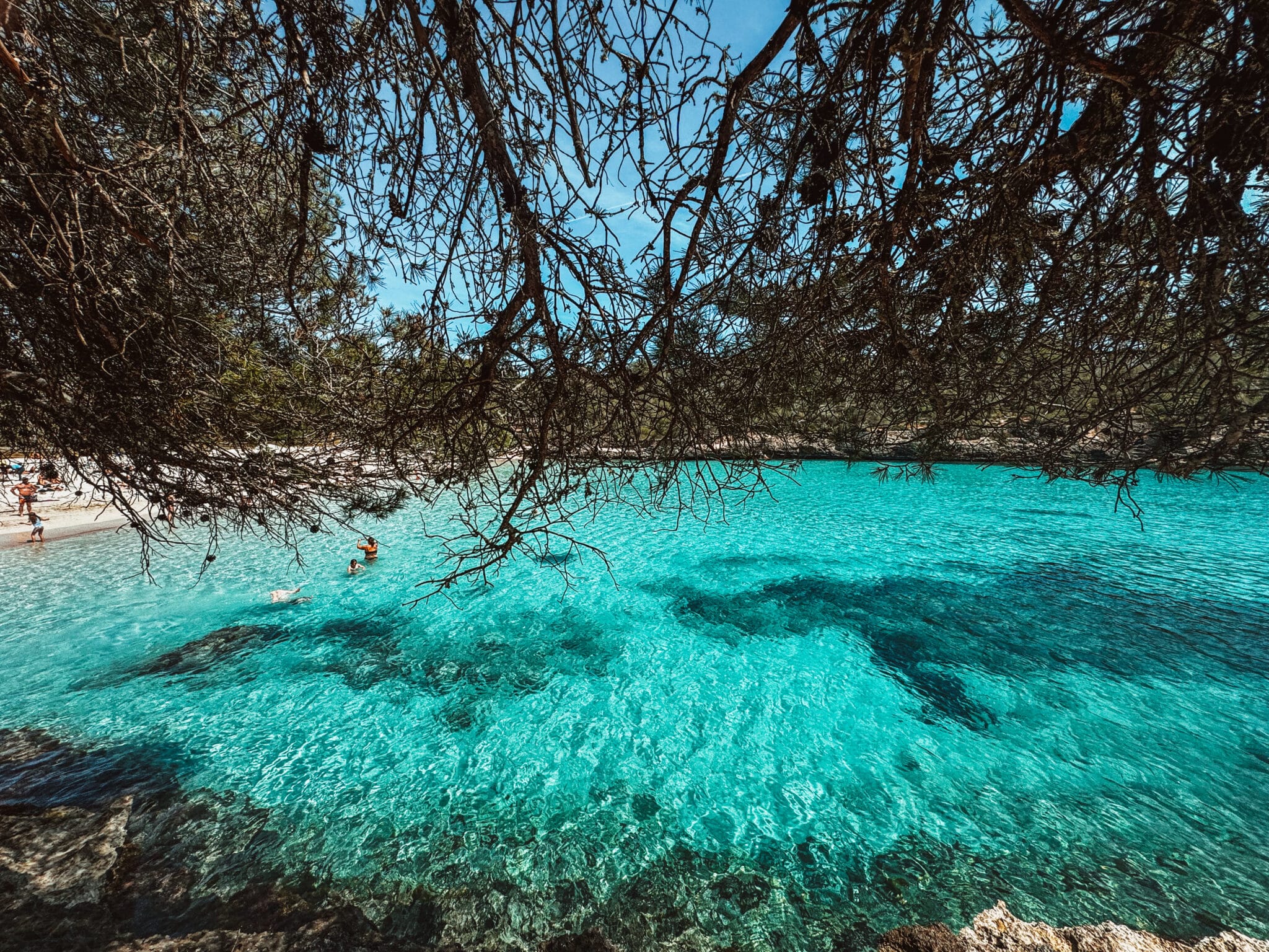 Mallorca Im Mai Erfahrungen